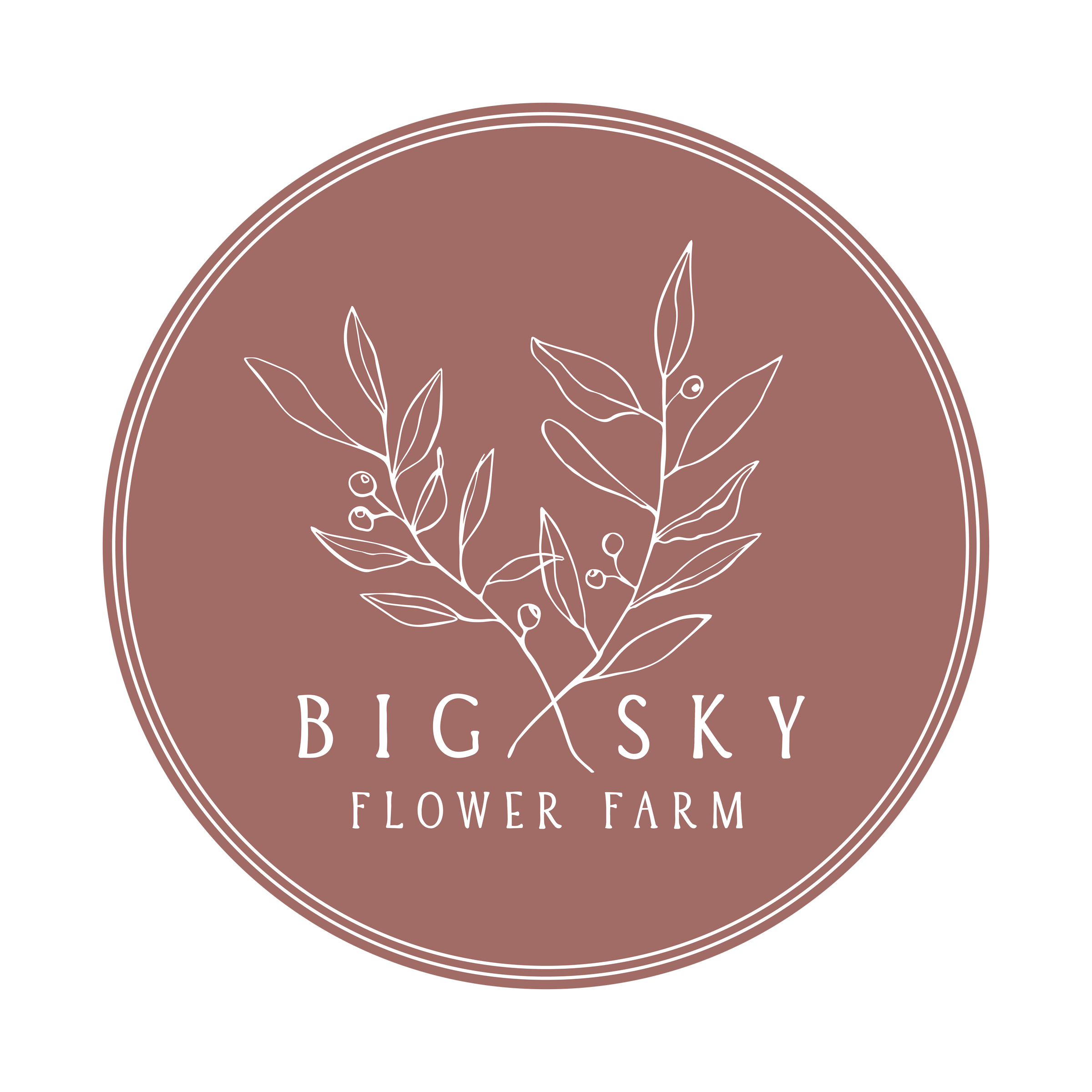 DAHLIA - HILLIER TANUNDA TUBER | Big Sky Flower Farm